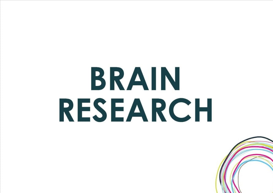 Scientists identify brain's weak spot for dementia - JPND ...