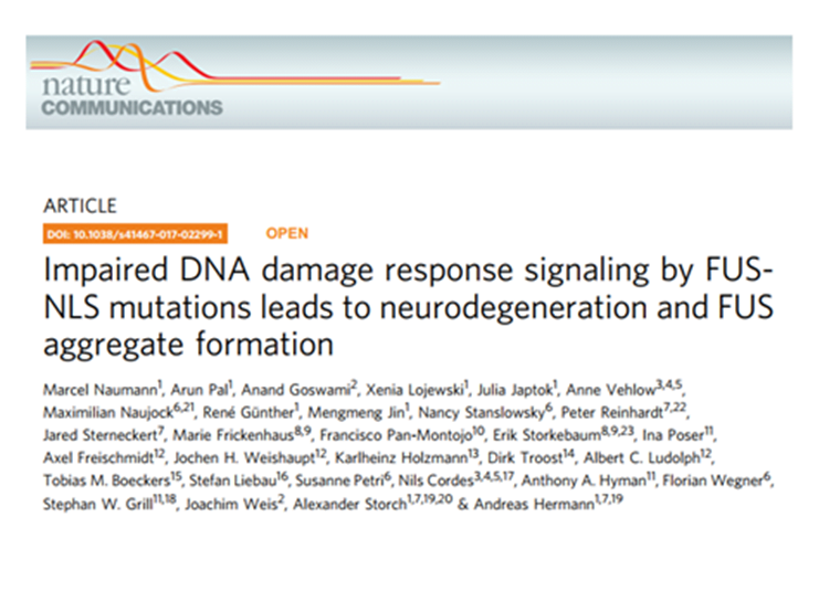 Impaired DNA damage response signaling by FUS-NLS mutations leads to ...