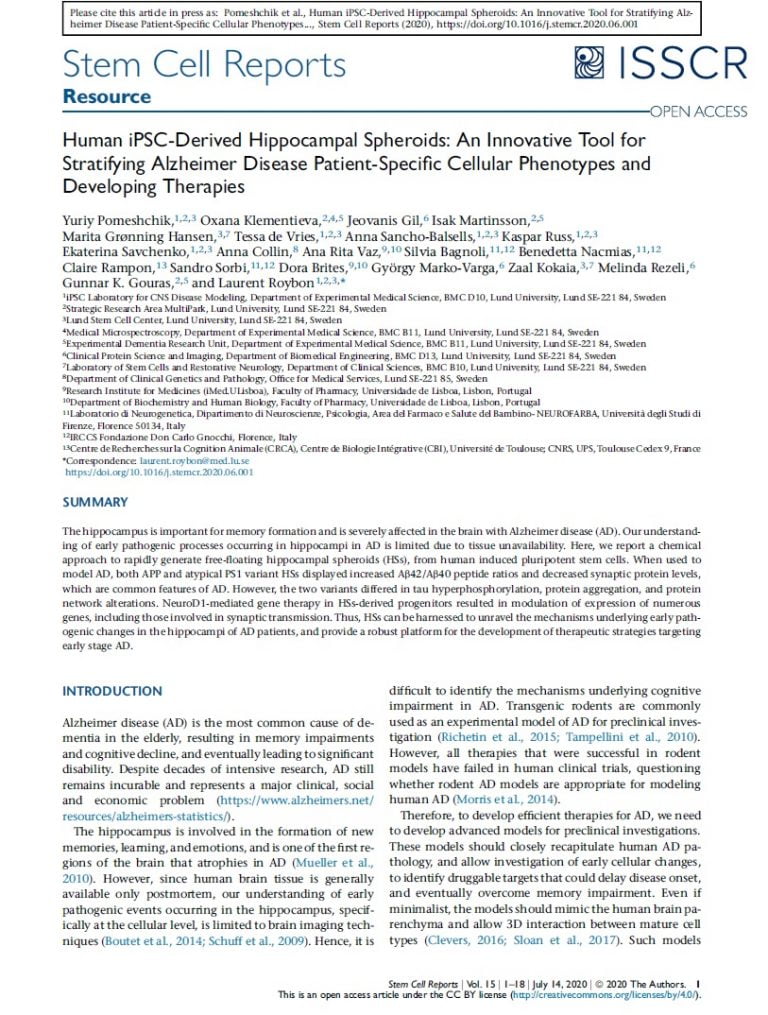 Human iPSC-Derived Hippocampal Spheroids: An Innovative Tool for ...